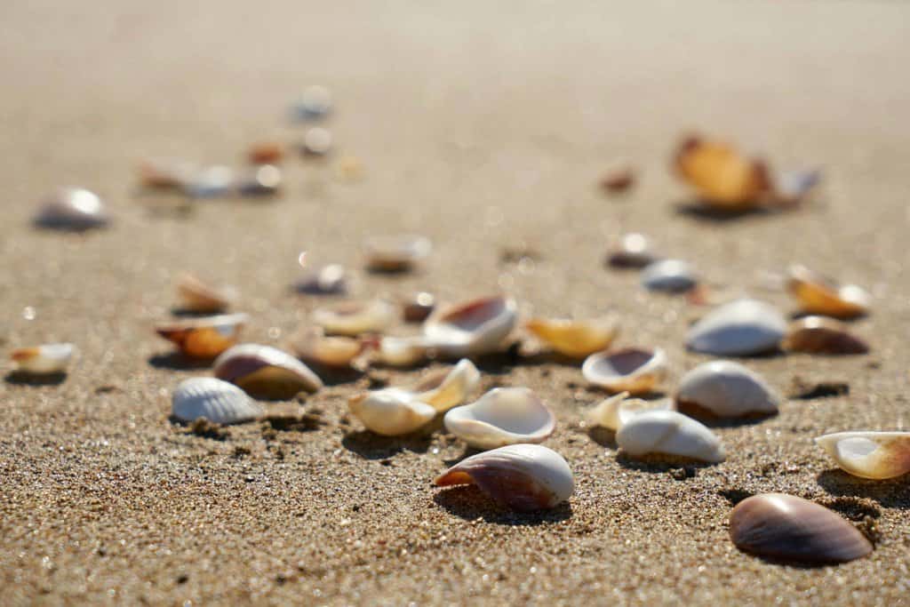 Hawaii Travel Tips: 10 Important Things You Need to Know Before ...