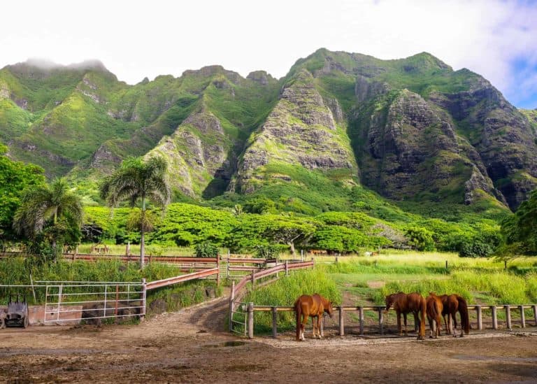 The Best Kualoa Ranch Tours, and Is It Worth It? (2023) - Bridget Travels