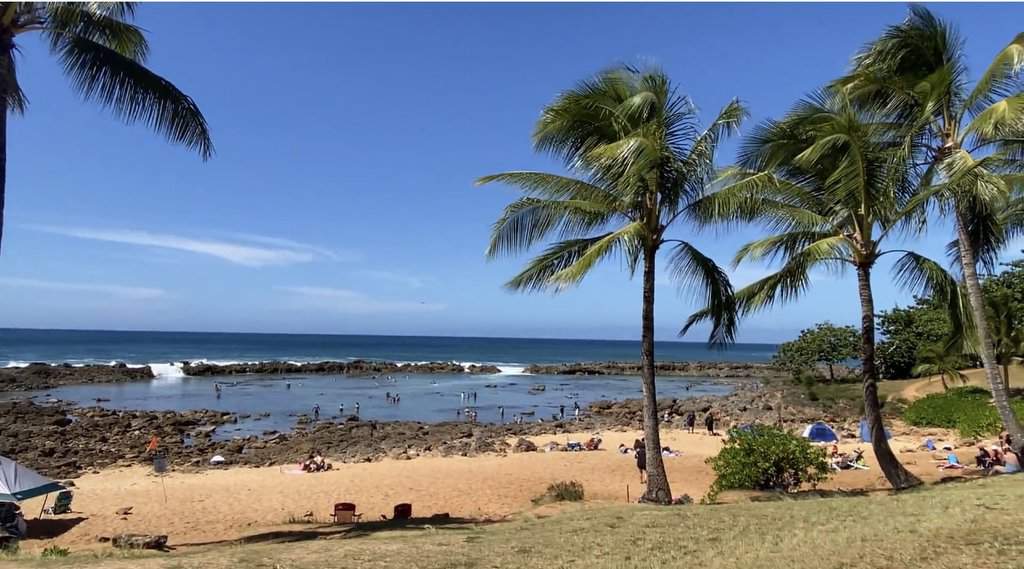 23 BEST Oahu Beaches From A Local + Map - Bridget Travels
