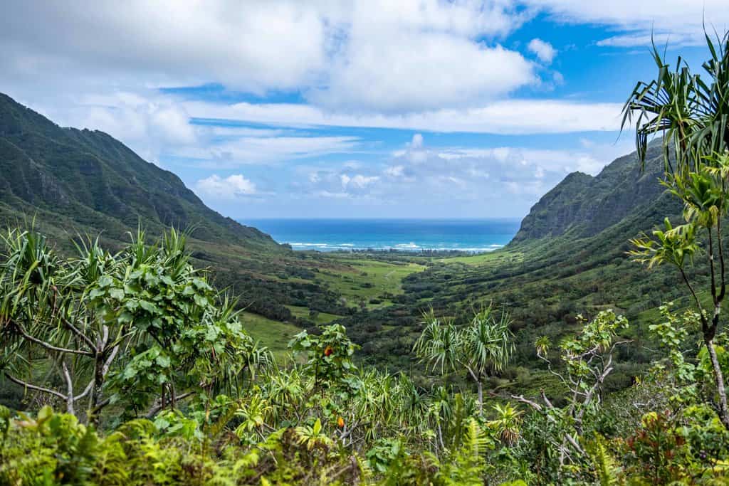 The Best Kualoa Ranch Tours, and Is It Worth It? (2023) - Bridget Travels